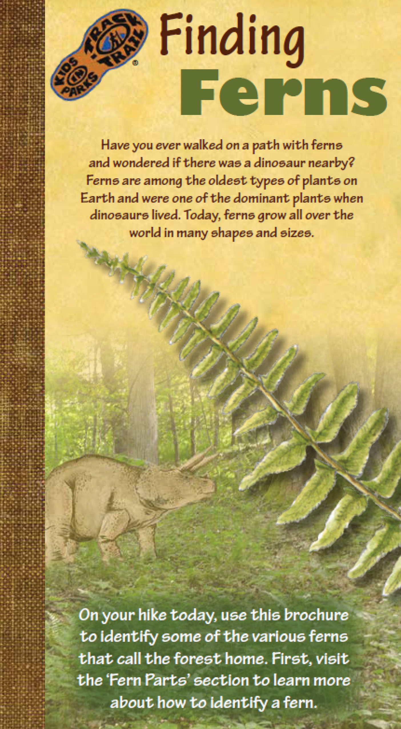 Brochure Covers | Kids in Parks